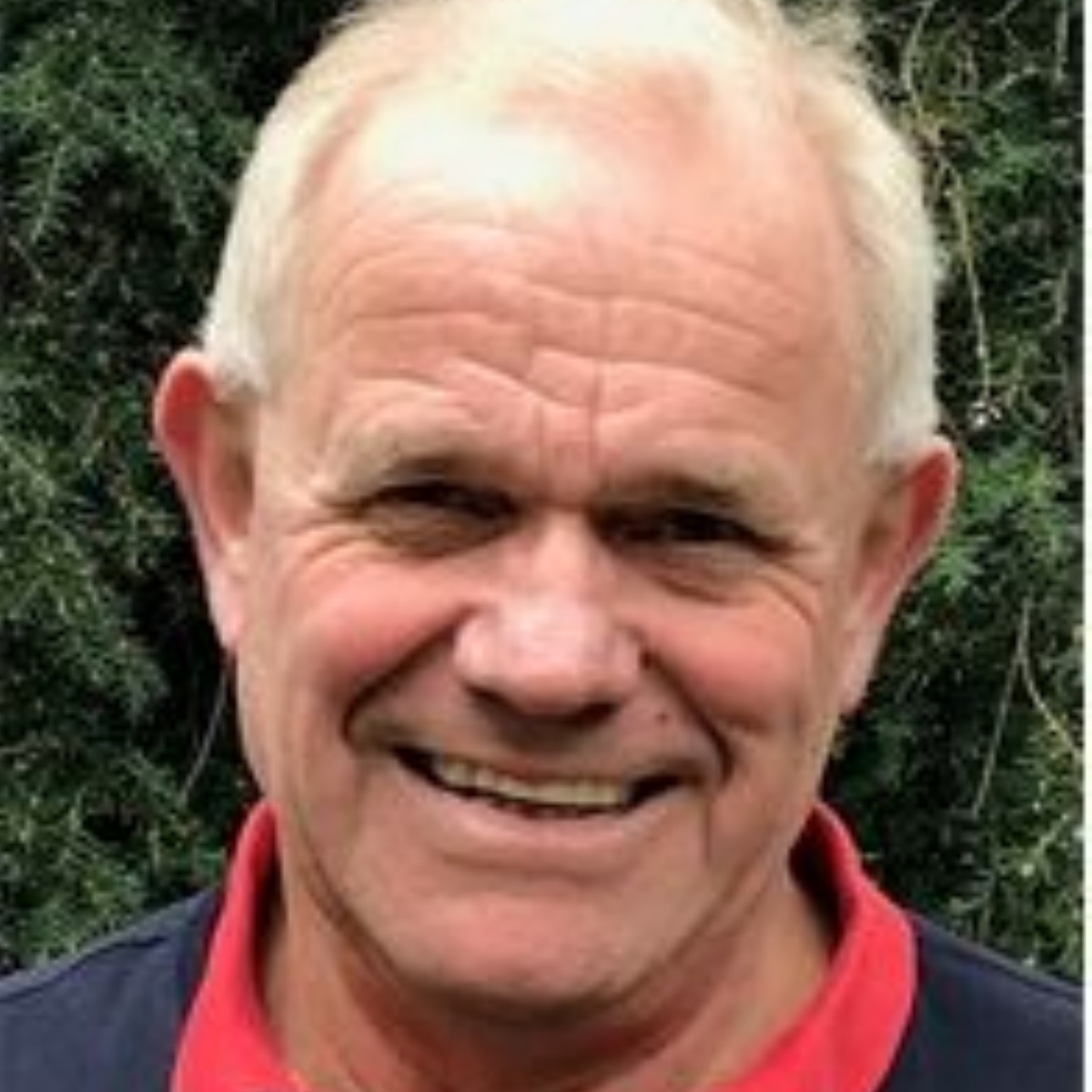 Landor Association - David Stevens - Fellow and Former President